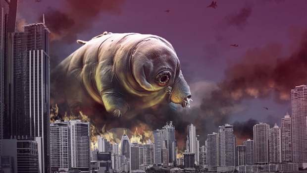 Ya Tardigradlar Kocaman Olsaydı? | Bilimkurgu Kulübü